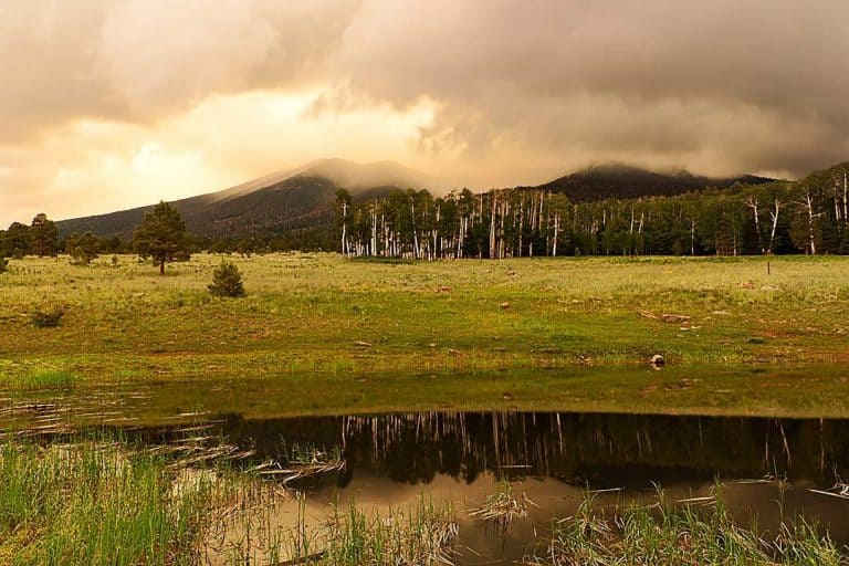 30 Best Flagstaff Hikes: Explore the Arizona High Country