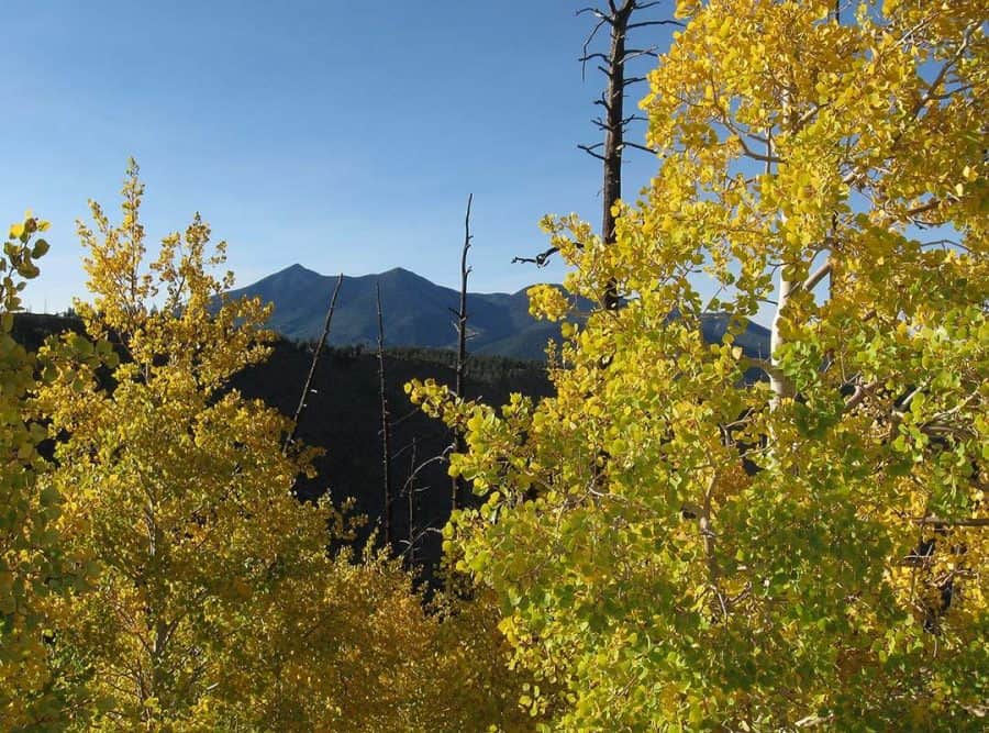 30 Best Flagstaff Hikes: Explore the Arizona High Country