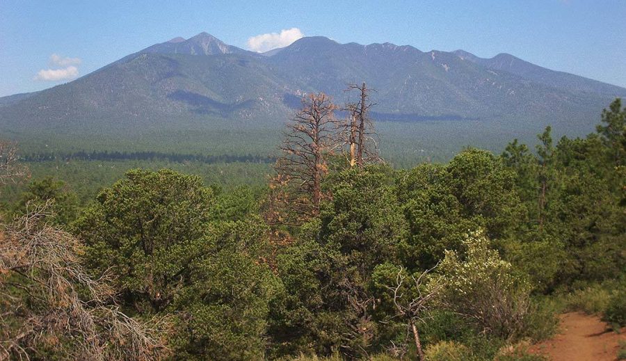 30 Best Flagstaff Hikes: Explore the Arizona High Country