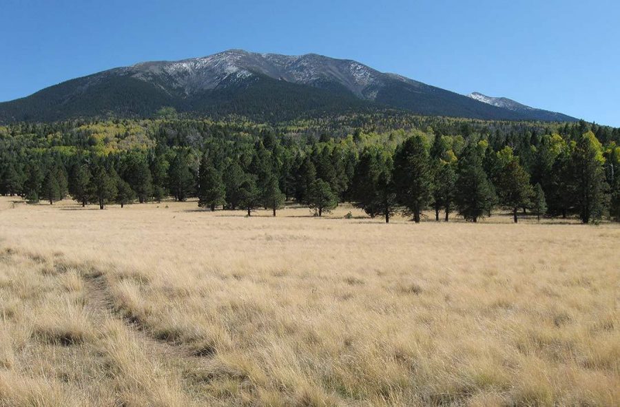 30 Best Flagstaff Hikes: Explore the Arizona High Country