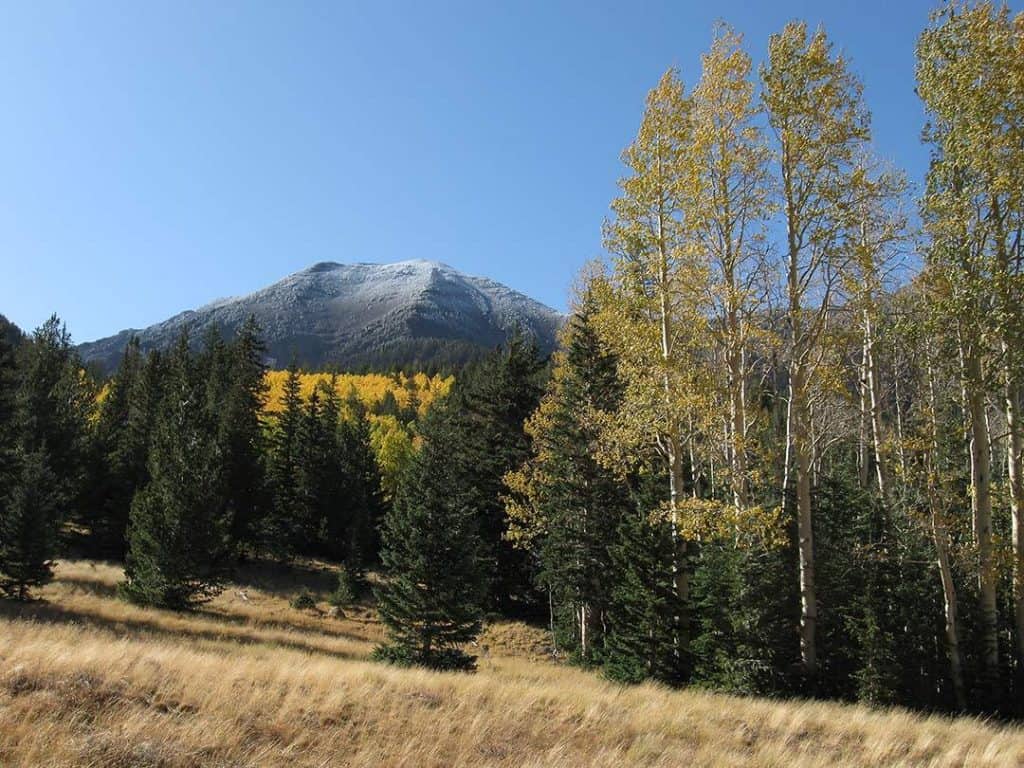 30 Best Flagstaff Hikes: Explore the Arizona High Country
