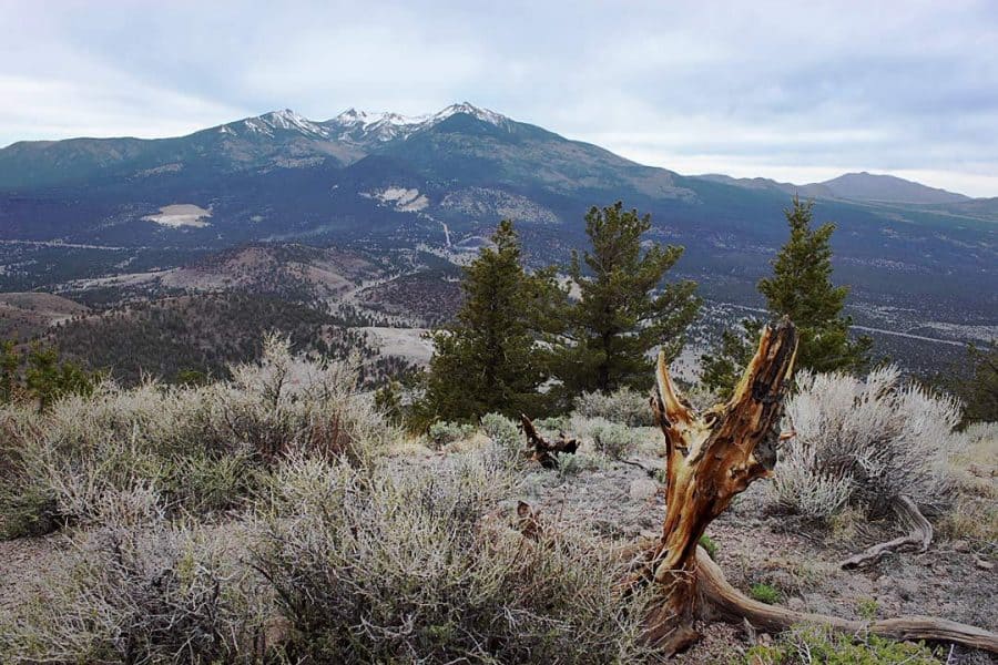 30 Best Flagstaff Hikes: Explore the Arizona High Country