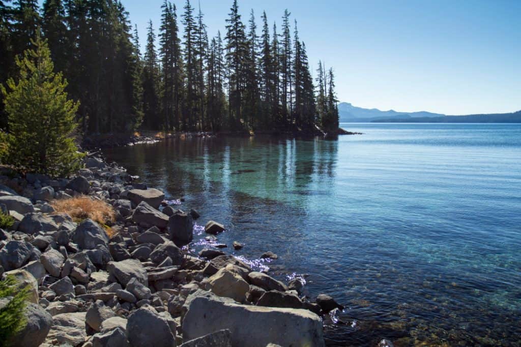 21 Spectacular Hikes Near Eugene, Oregon - Territory Supply
