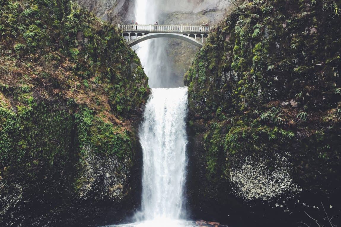 18 Best Hikes Near Portland, Oregon | Territory Supply