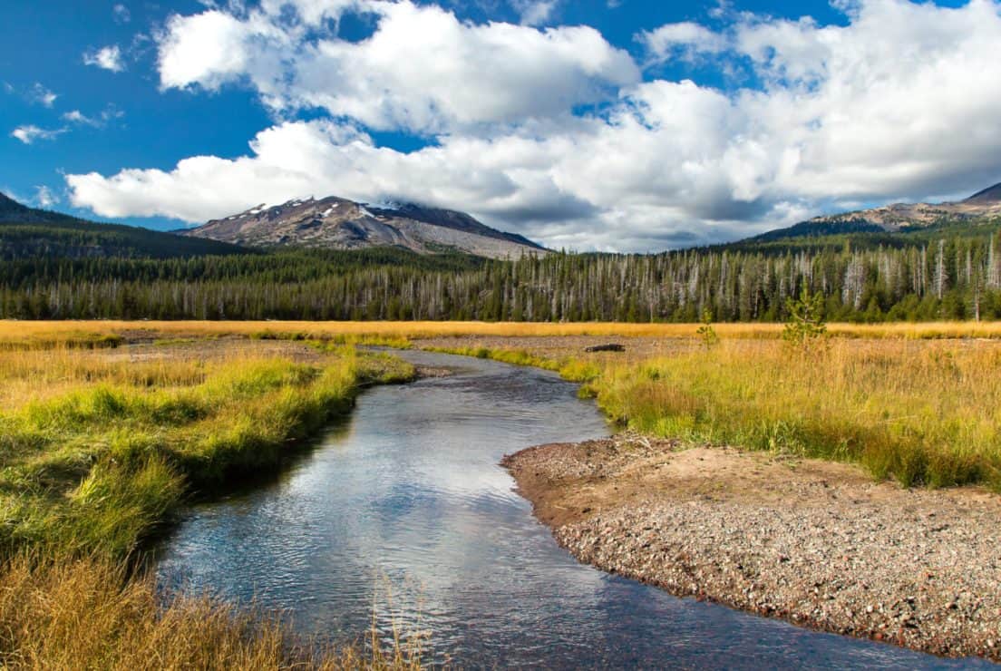 6 Best Camping Spots in the Prescott National Forest