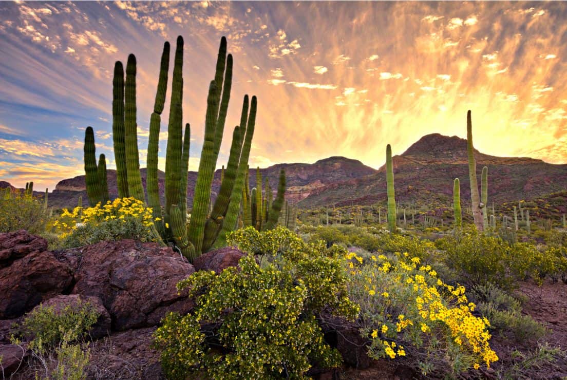 6 Best Camping Spots in the Prescott National Forest