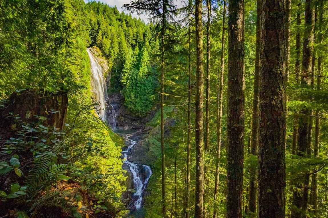 The 15 Best Hikes Near Seattle, Washington | Territory Supply