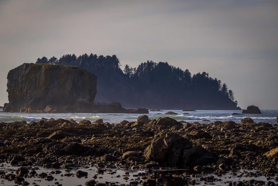 8 Easy Day Hikes in Olympic National Park, Washington - Territory Supply