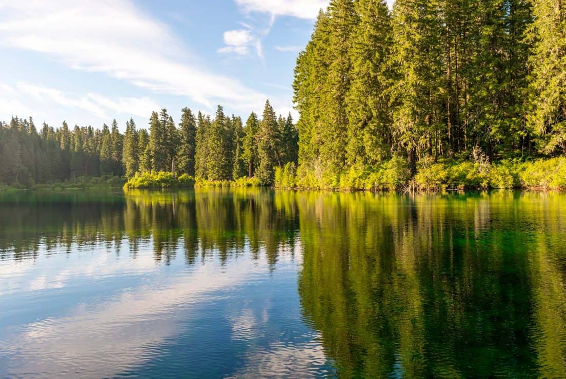 6 Best Camping Spots in the Prescott National Forest