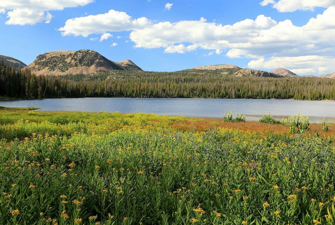10 Best Utah Lake Camping Destinations for a Weekend on the Water