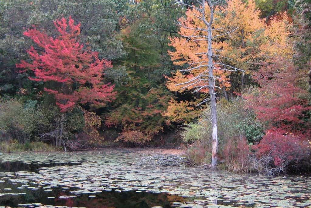 The 15 Best Hiking Trails Near Boston, Massachusetts