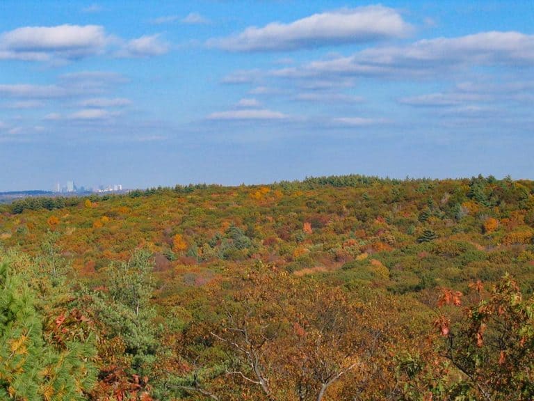 The 15 Best Hiking Trails Near Boston, Massachusetts