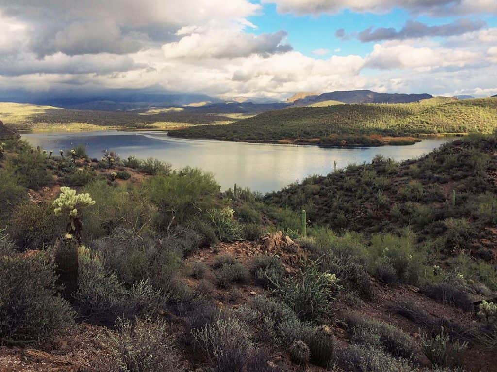Butcher Jones Recreation Site: Soak Up Saguaro Lake