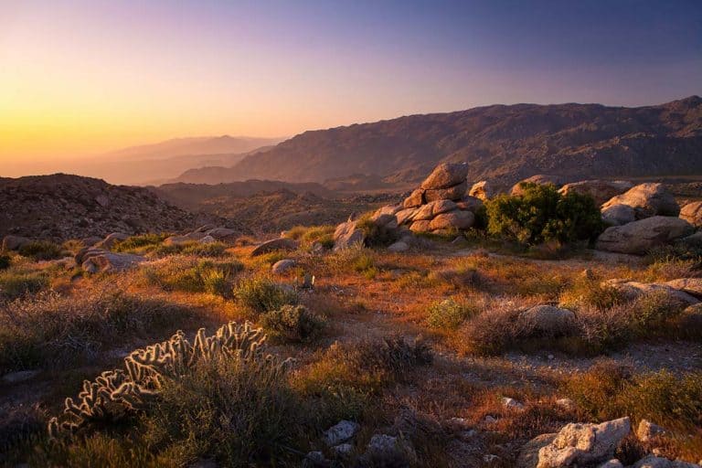 12 Gorgeous Camping Spots in Anza-Borrego Desert State Park - Territory ...