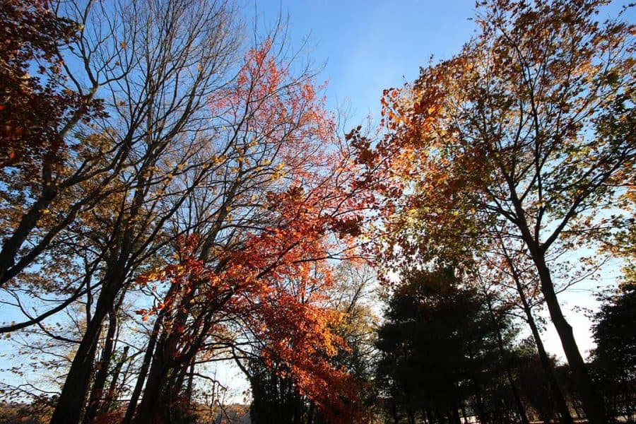 The 15 Best Hiking Trails Near Boston, Massachusetts