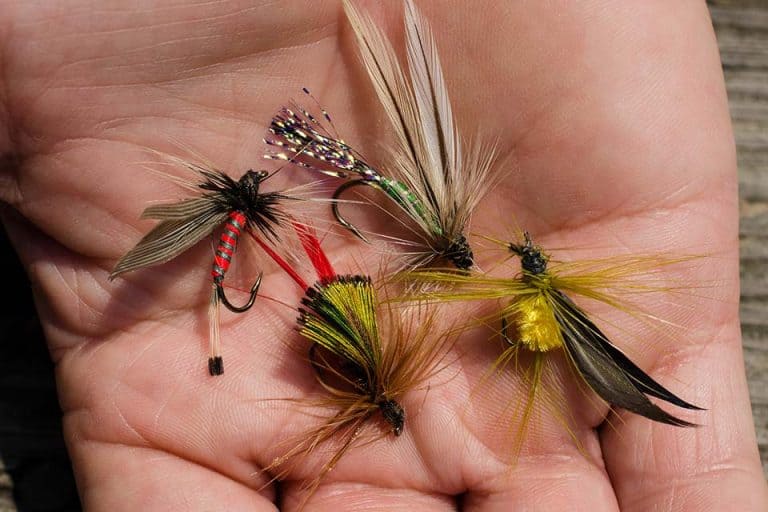 The Beginner's Guide To Fly Fishing In Utah - Territory Supply
