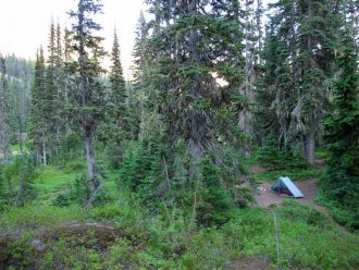 11 Best Hikes in the Alpine Lakes Wilderness, Washington - Territory Supply