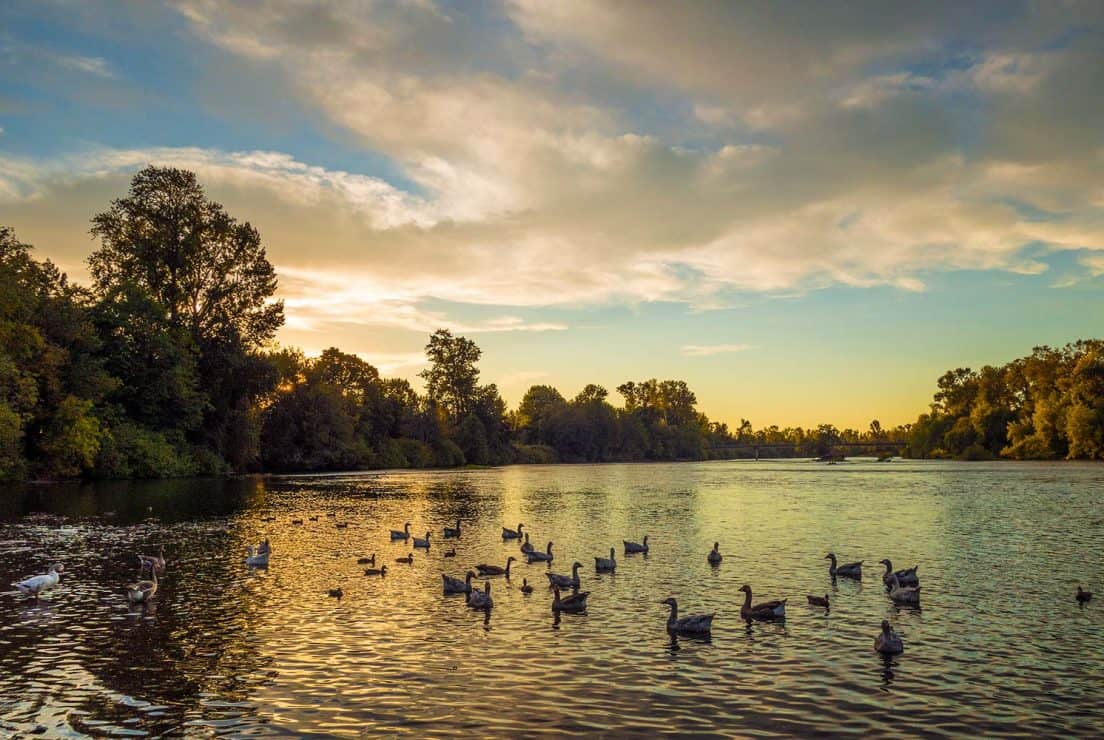 The 7 Best Hikes around Eugene, Oregon - Territory Supply