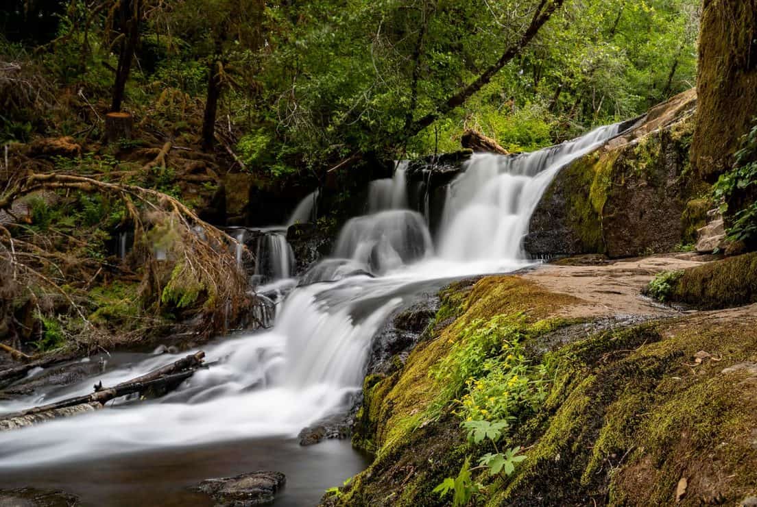 Waterton Canyon Trail, Colorado: Trail Guide