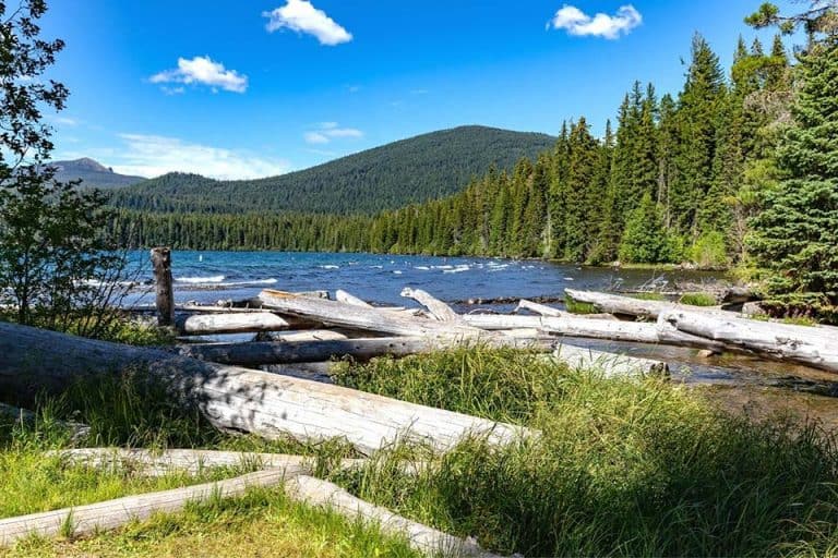 17 Best Lake Camping Destinations in Oregon - Territory Supply