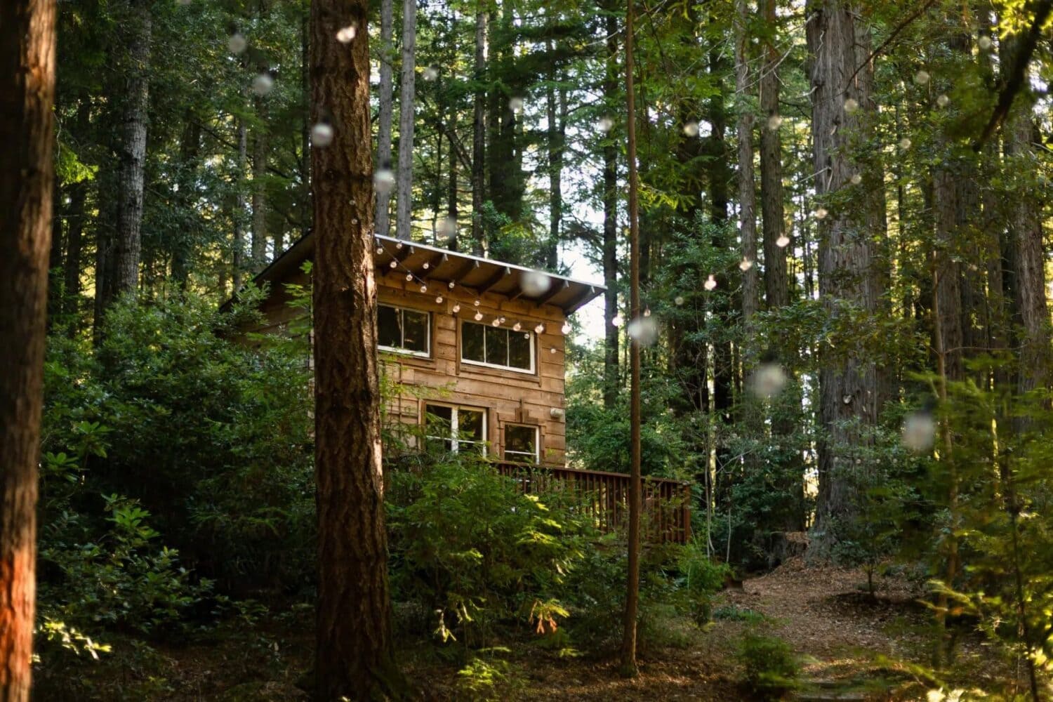 18 Stunningly Secluded Cabin Rentals in California - Territory Supply