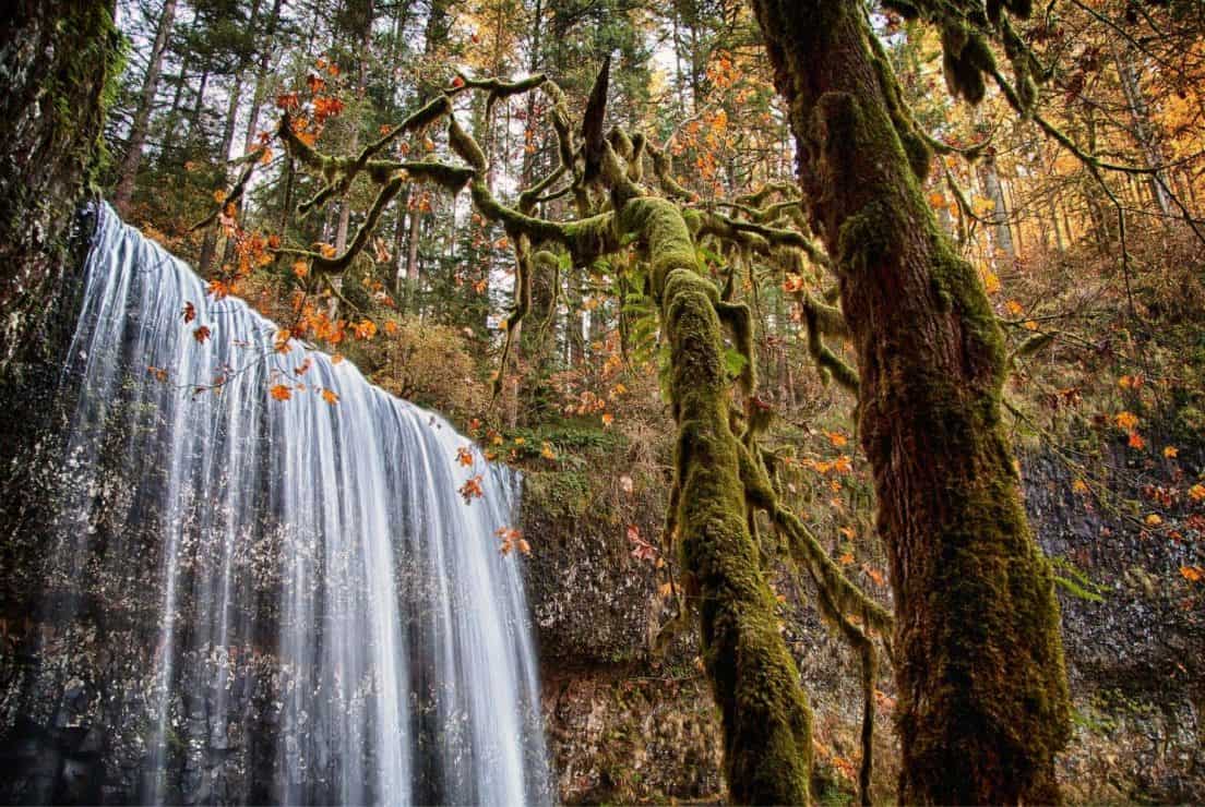 The 7 Best Hikes around Eugene, Oregon - Territory Supply