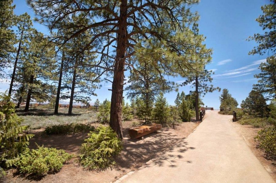 The 12 Best Things To Do In Bryce Canyon National Park - Territory Supply