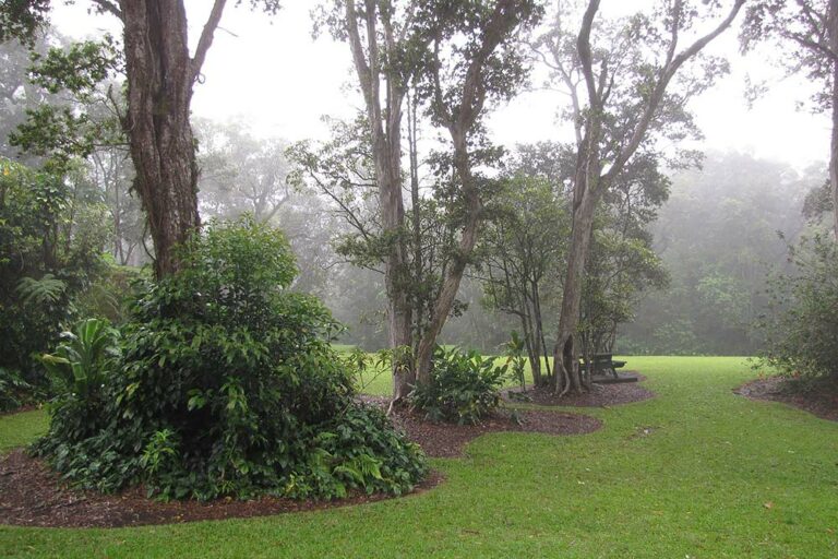 14 Life-Changing Hikes on Hawaii's Big Island - Territory Supply