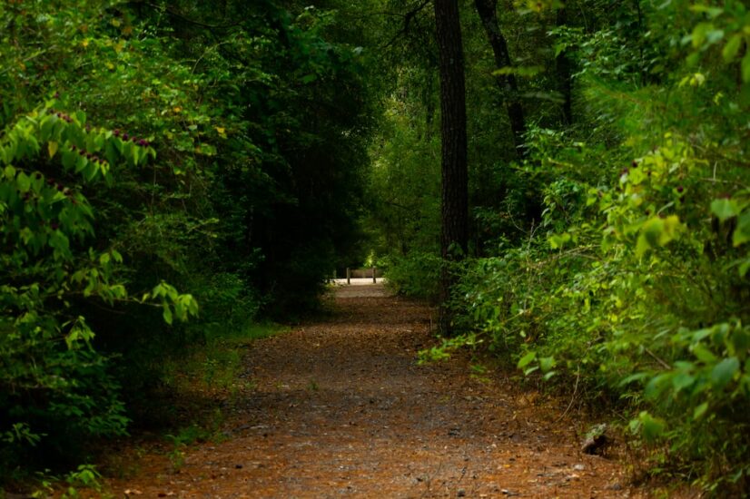 The 10 Best Camping Spots Near Houston, Texas - Territory Supply