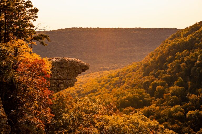 8 Incredible Spots to See Fall Foliage in Arkansas - Territory Supply