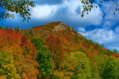 8 Incredible Spots to See Fall Foliage in Arkansas - Territory Supply