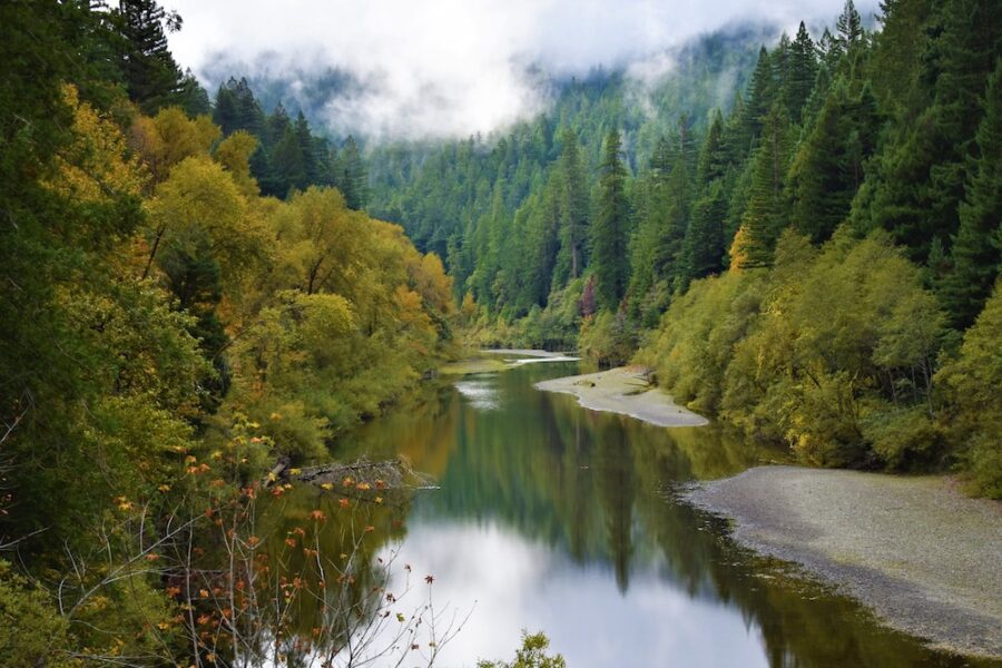 7 Gorgeous Spots to See Fall Colors in California - Territory Supply