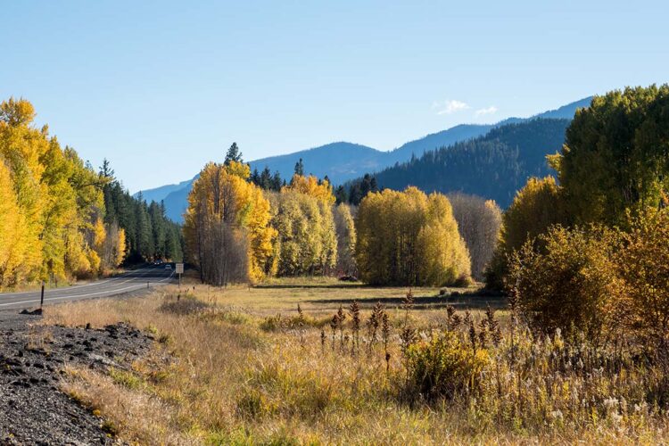 10 Scenic Drives in Washington State That'll Blow Your Mind - Territory ...