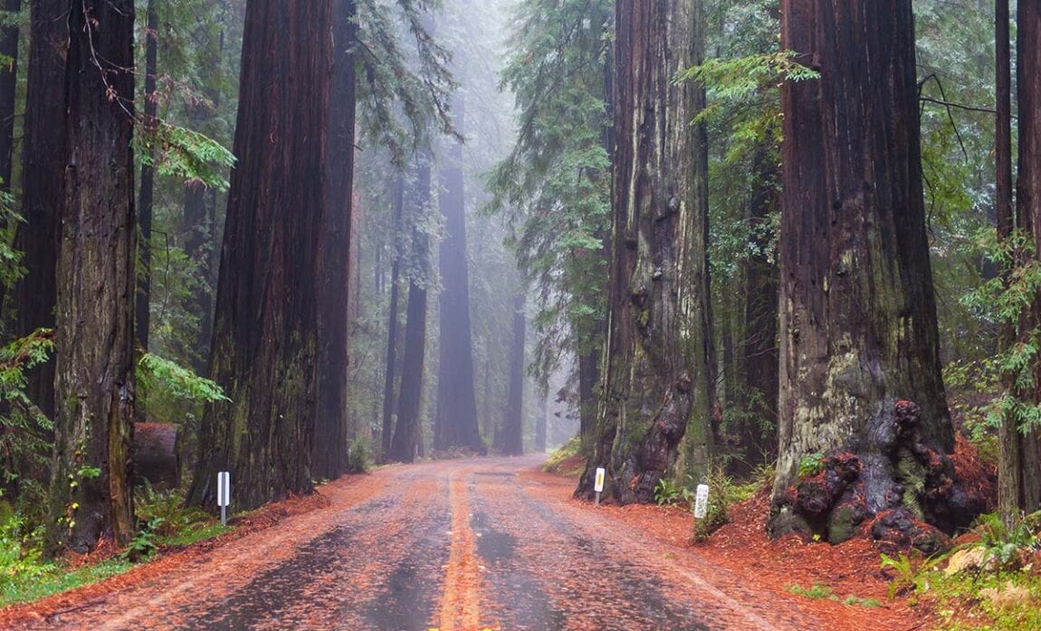 9 Best National Parks to Visit in December - Territory Supply