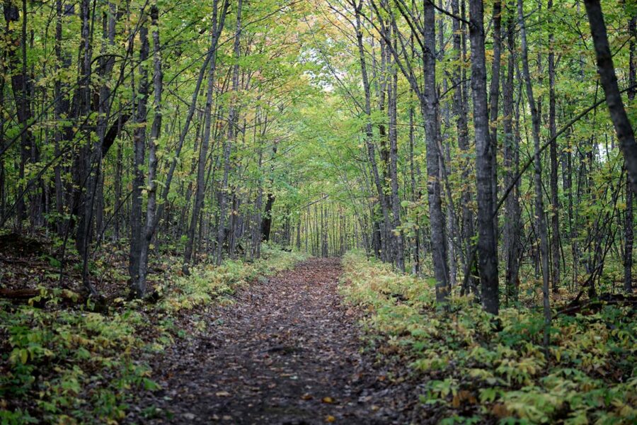 8 Spectacular Places to See Fall Colors in Minnesota