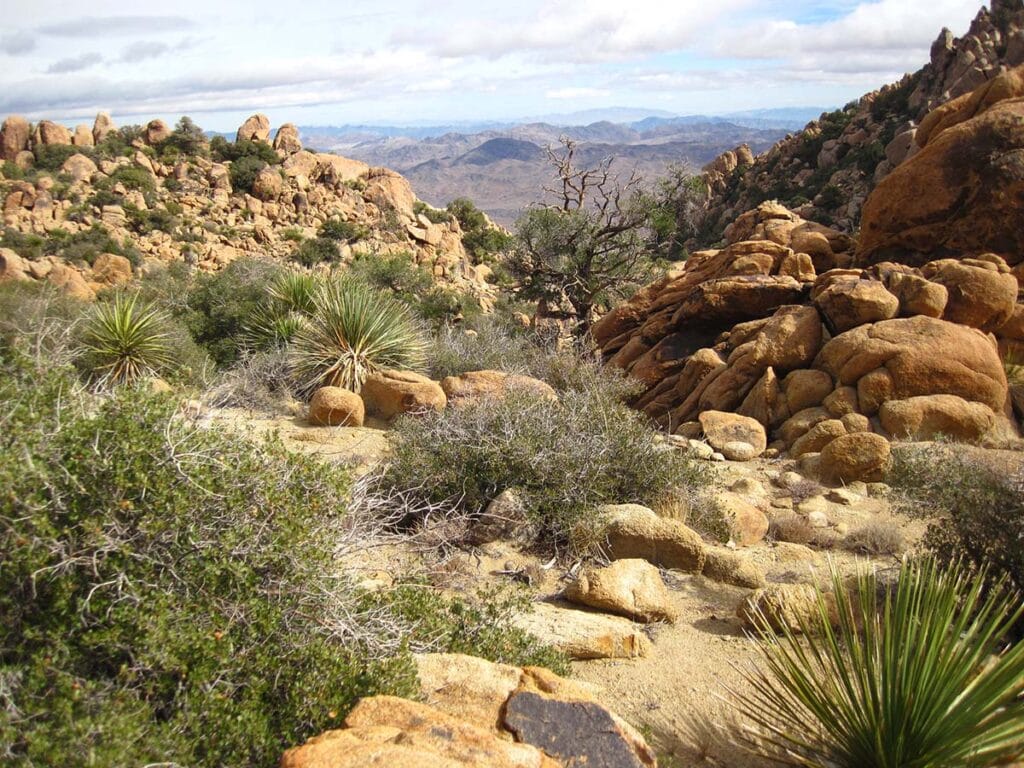 6 Phenomenal Backpacking Trails in Joshua Tree National Park