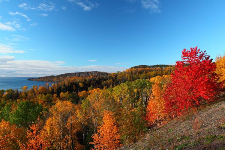 8 Spectacular Places to See Fall Colors in Minnesota