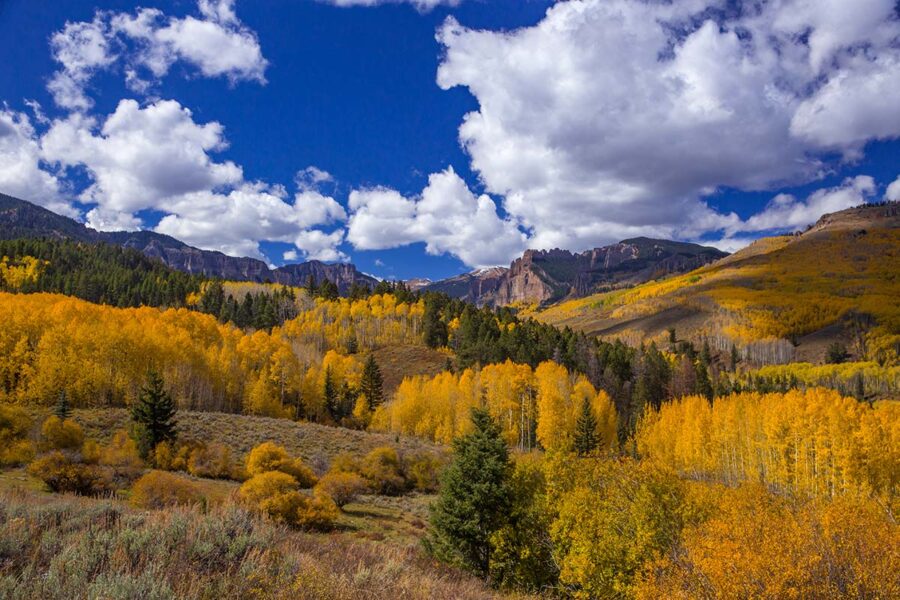 11 Beautiful National Forests in Colorado for Outdoor Recreation