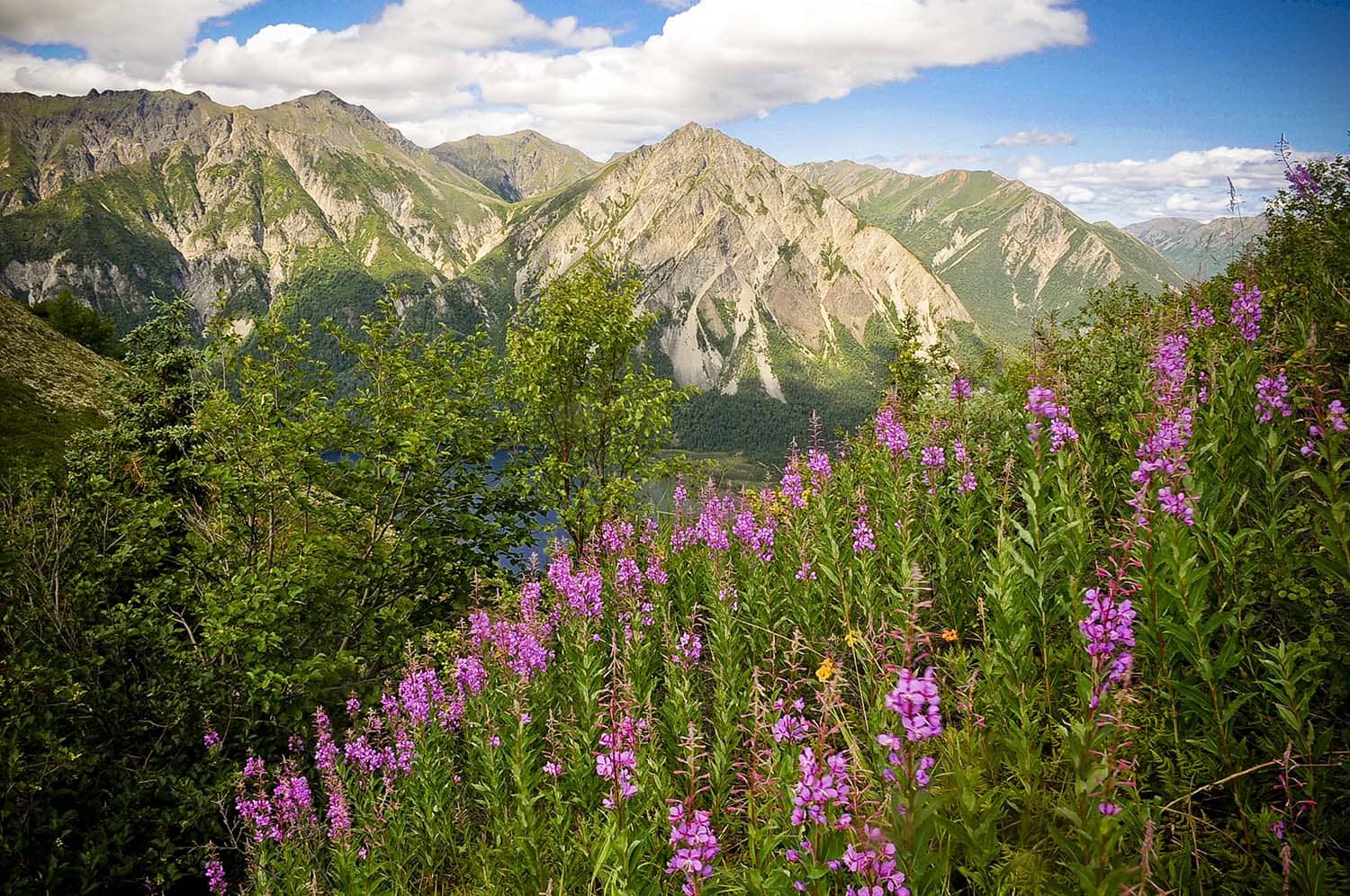 8 Breathtaking Alaska National Parks to Visit this Year - Territory Supply