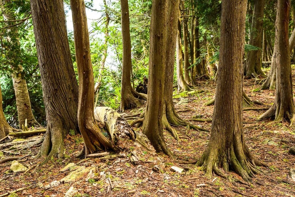 10 Best Hikes in Wisconsin for Hitting the Trail Any Time of Year