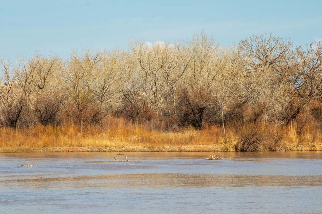 9 Beautiful Hikes Near Albuquerque, New Mexico - Territory Supply