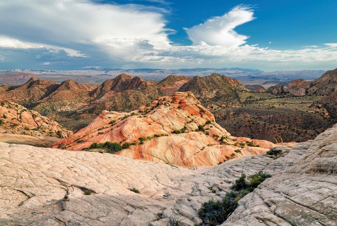The 8 Best Hikes Near Fort Collins, Colorado | Territory Supply