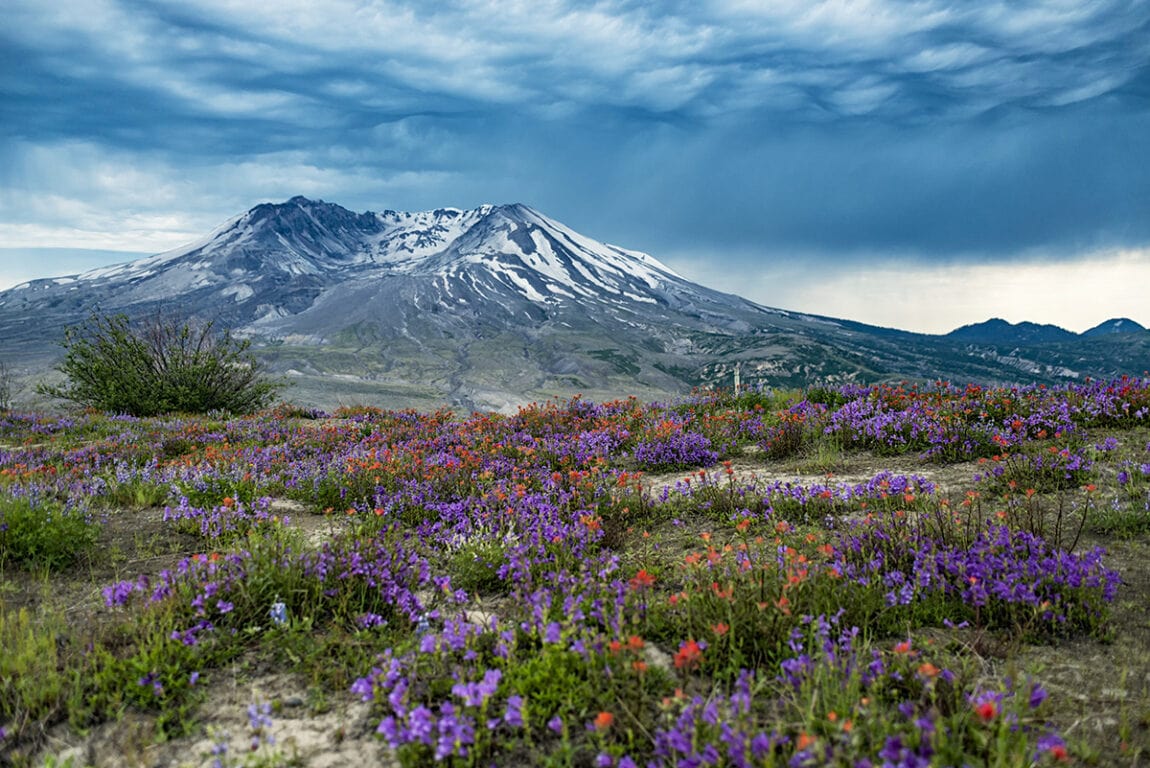 7 Phenomenal National Parks in the Pacific Northwest