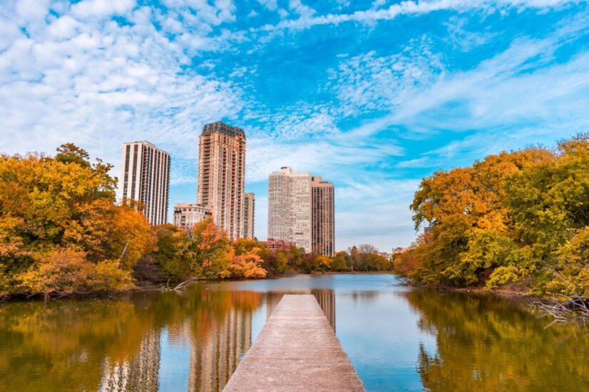 8 Festive Things to Do in the Fall in Chicago, Illinois - Territory Supply