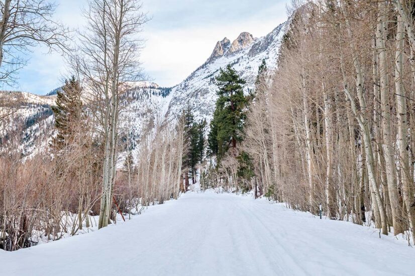11 Places that Get Snow in California to Fuel Your Winter Wanderlust ...