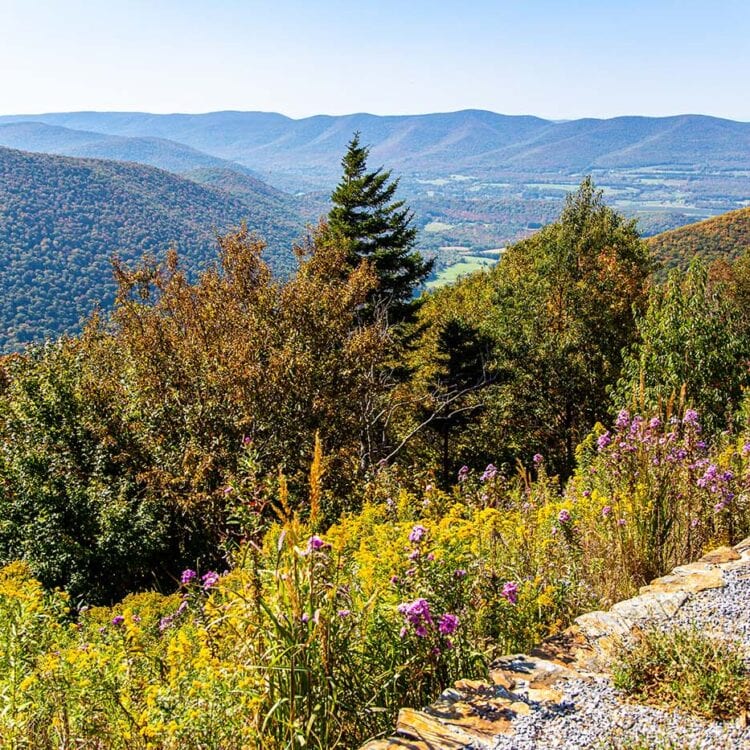 10 Best Hikes in Stowe, Vermont to Experience Outstanding Views