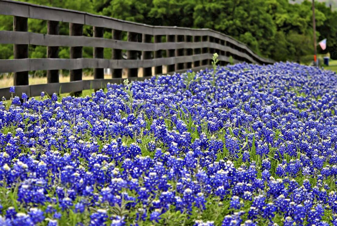 The 6 Best Islands in Texas for an Unforgettable Vacation - Territory ...