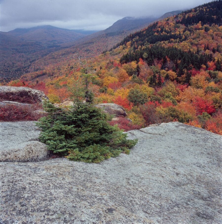 The Ultimate Fall Color Guide for the White Mountains, New Hampshire ...