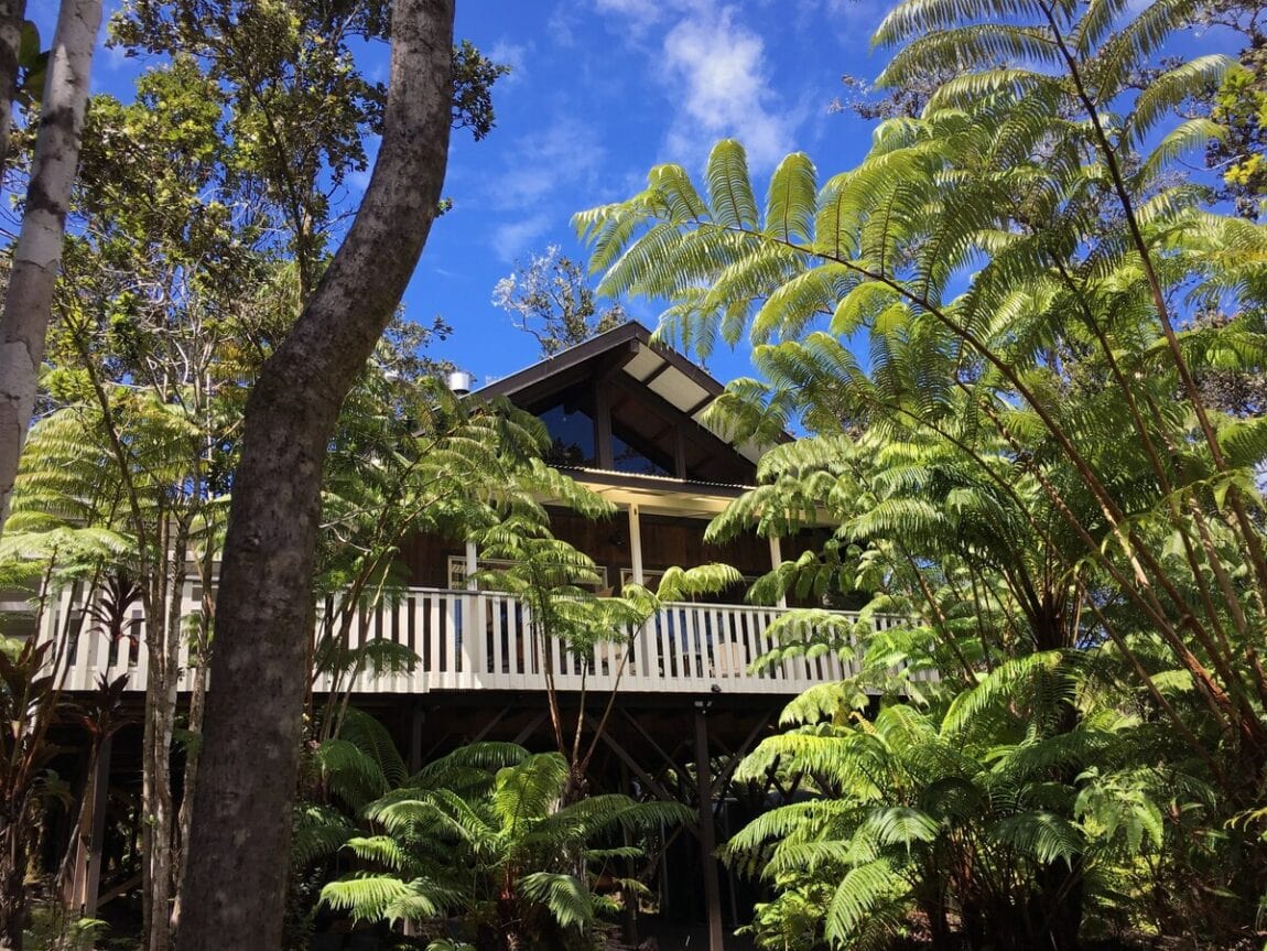 8 Treehouse Rentals in Hawaii That’ll Elevate Your Tropical Getaway ...