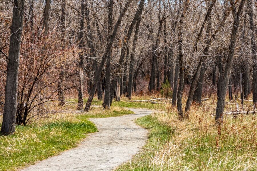7 Best State Parks Near Denver, Colorado - Territory Supply